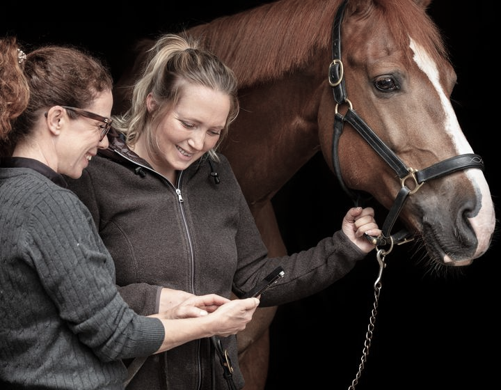 Blogs, tutorials, webinars about objective gait analysis for equine vets